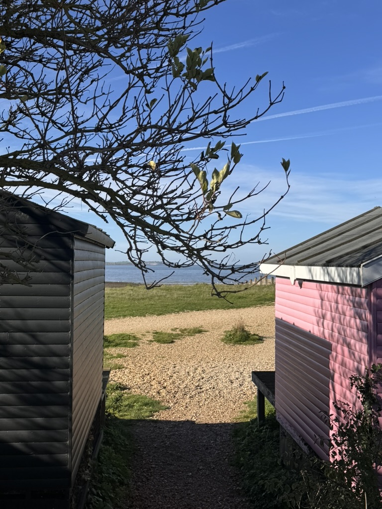 Discover Whitstable 2026 | Things to Do, Oysters, Beach Huts & Events